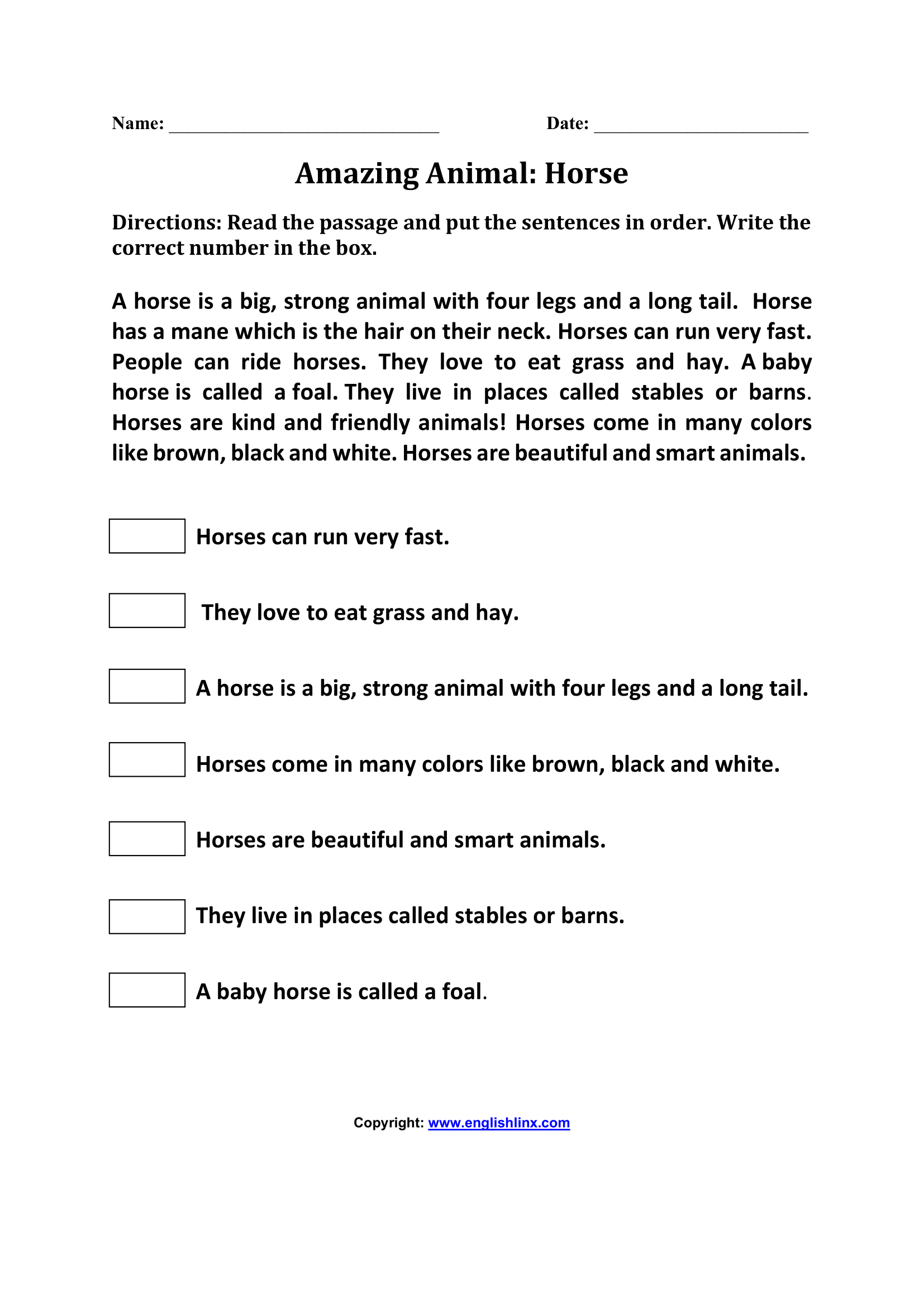 Amazing Animal Horse | Kindergarten Reading Worksheet