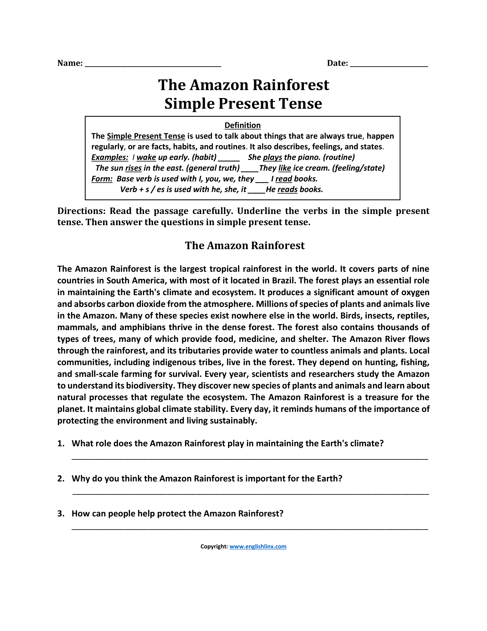 Simple Present Tense Worksheet | The Amazon Rainforest
